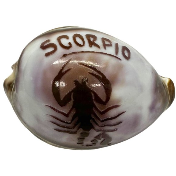 Accents | Scorpio Zodiac Hand Carved Cowrie Shell | Poshmark
